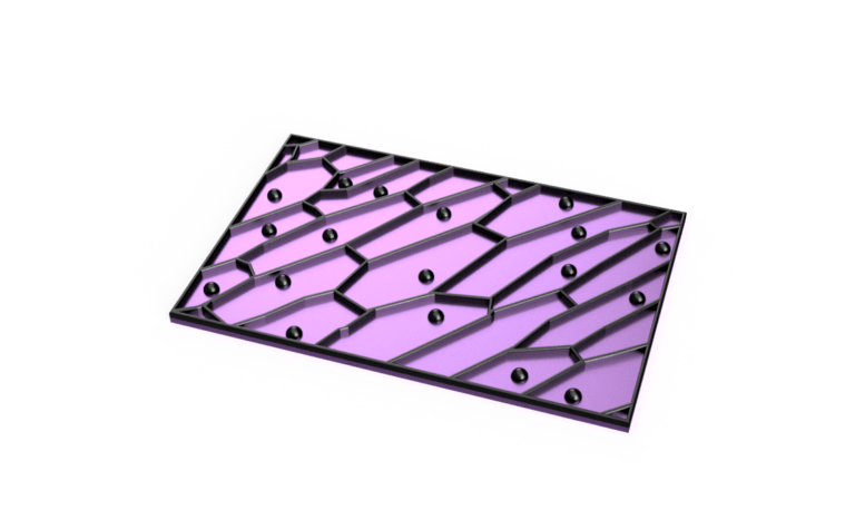 Onion Cells - tactiles.eu