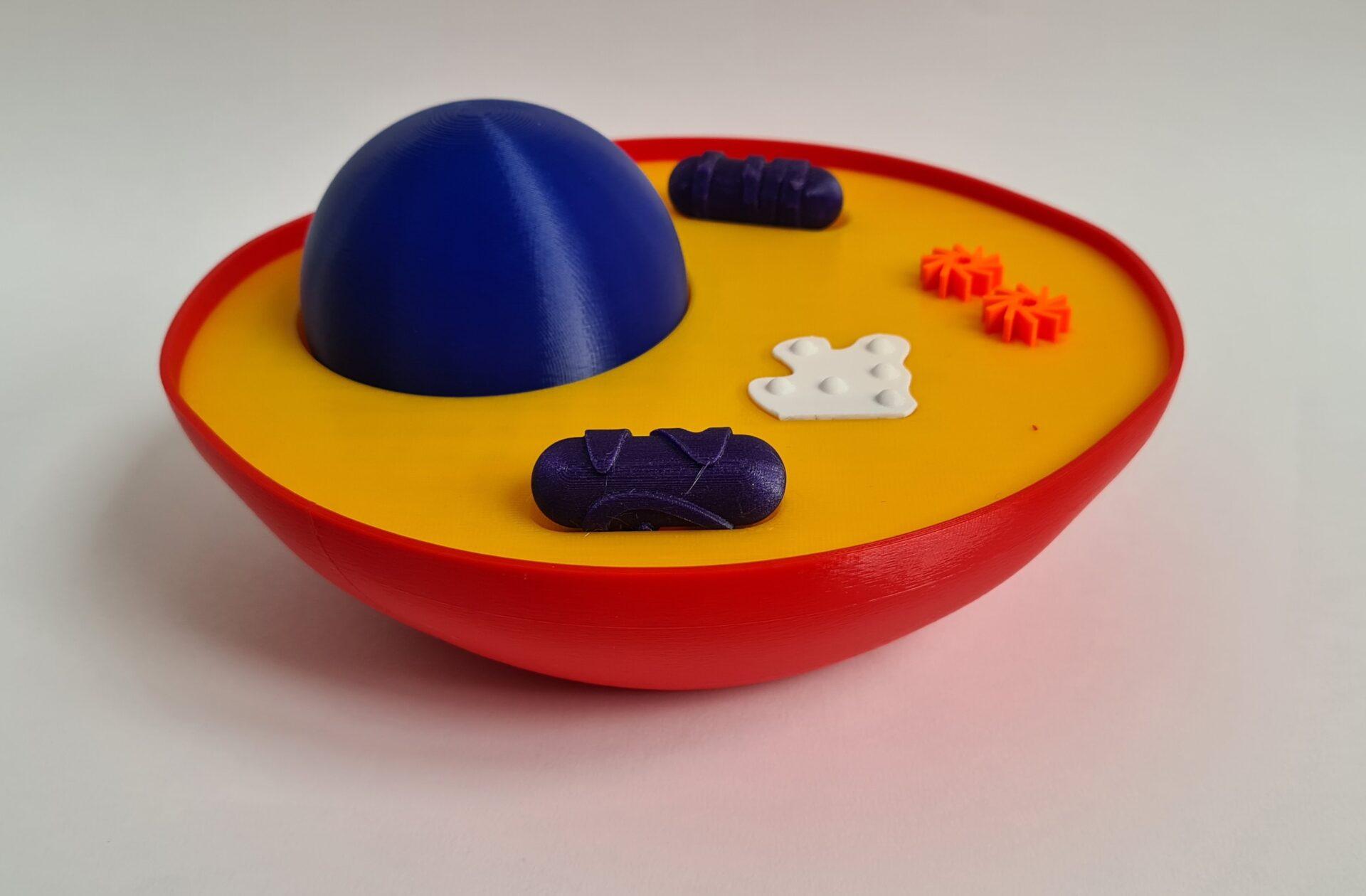 Animal Cell That Splits Open - tactiles.eu